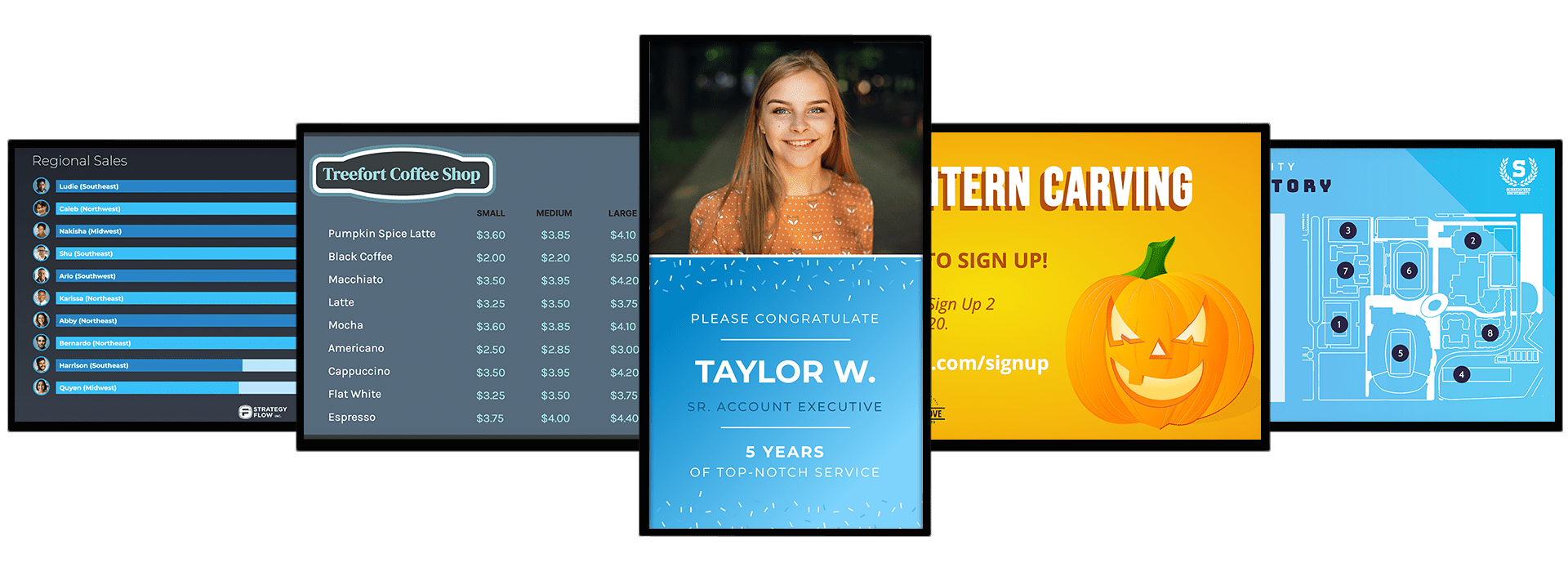 Screenfeed Partner Page - Signagelive
